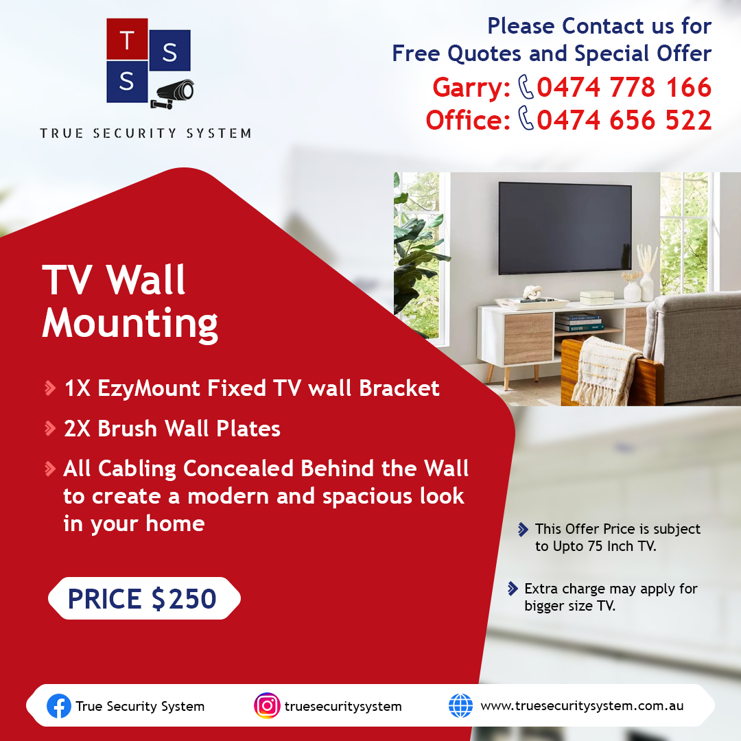 TV Mounting - True Security System