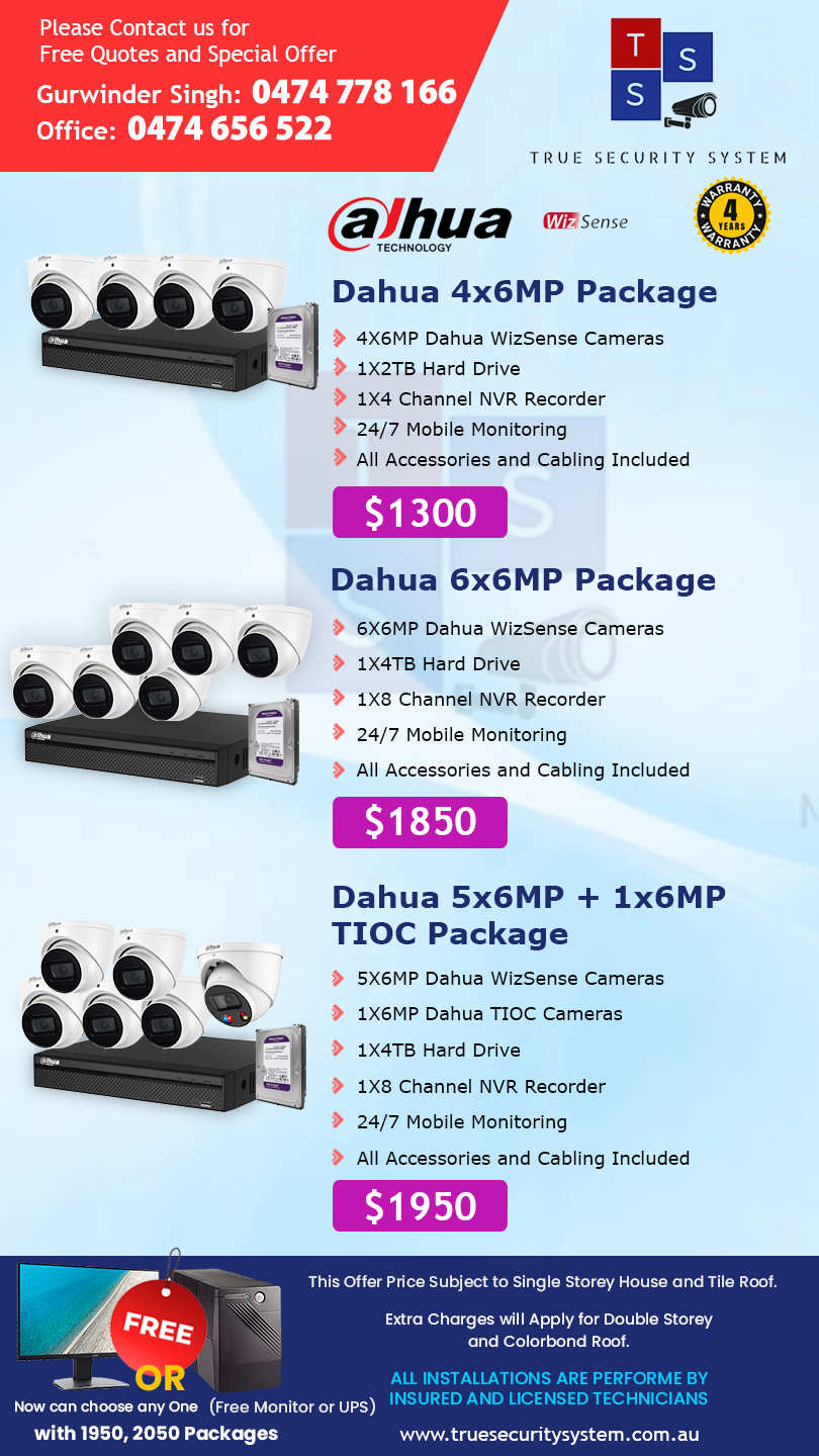 Security CCTV Cameras - True Security System